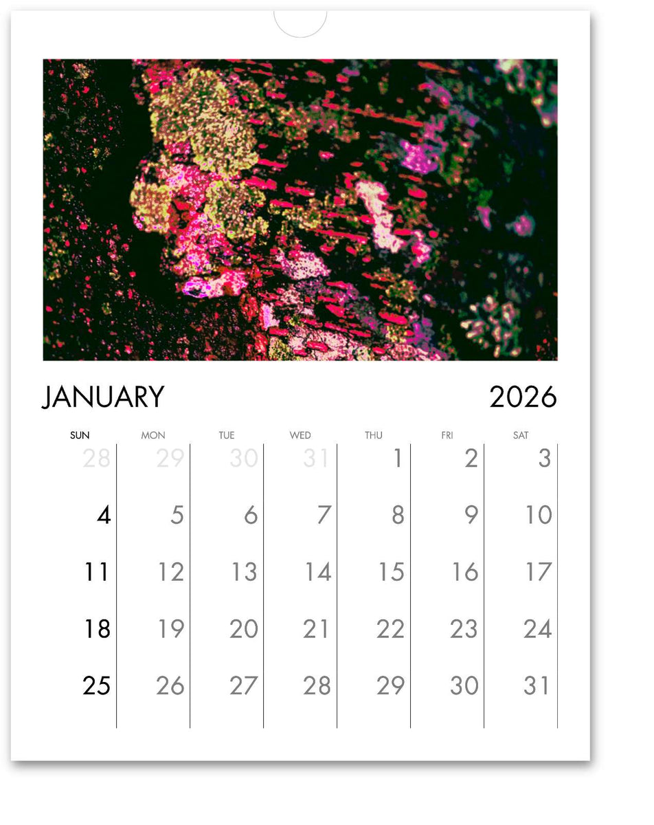 2026 Fairy Wonderland Calendar • Alterations Most True Photos [Standar ...